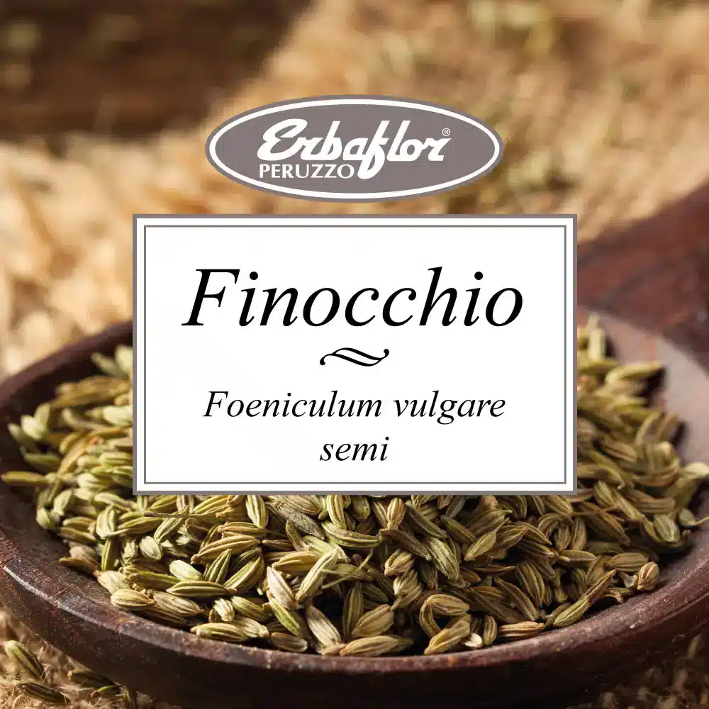 Finocchio • Erbaflor Peruzzo