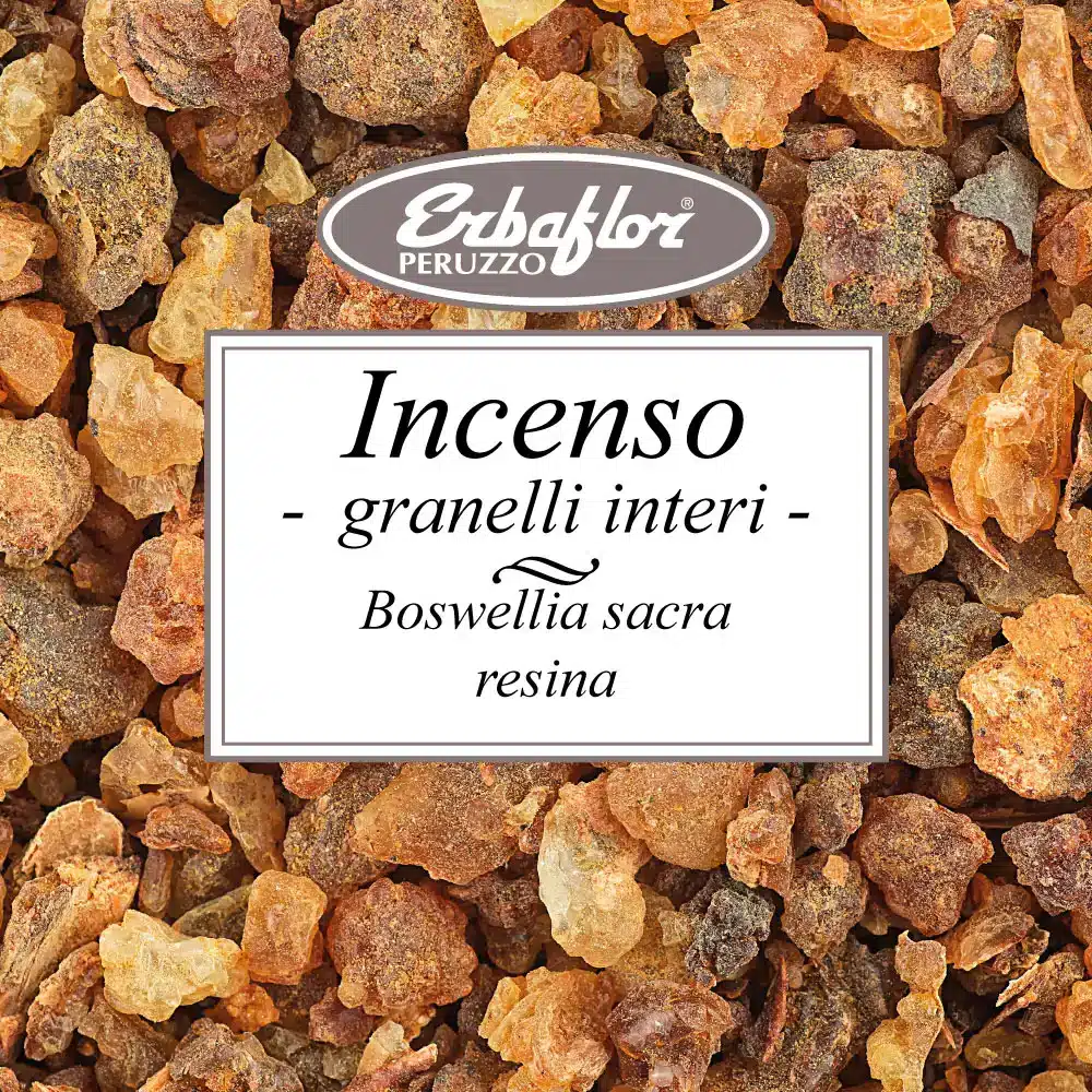 Incenso • Erbaflor Peruzzo