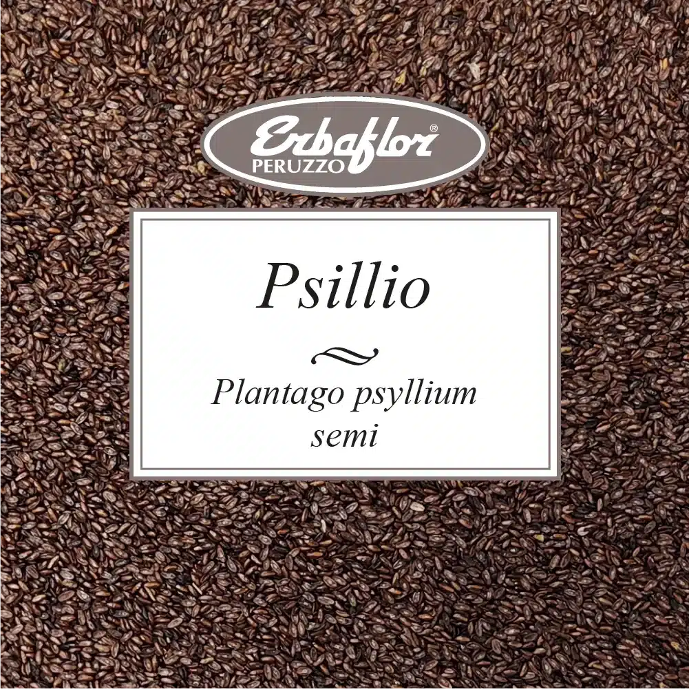 Psillio • Erbaflor Peruzzo